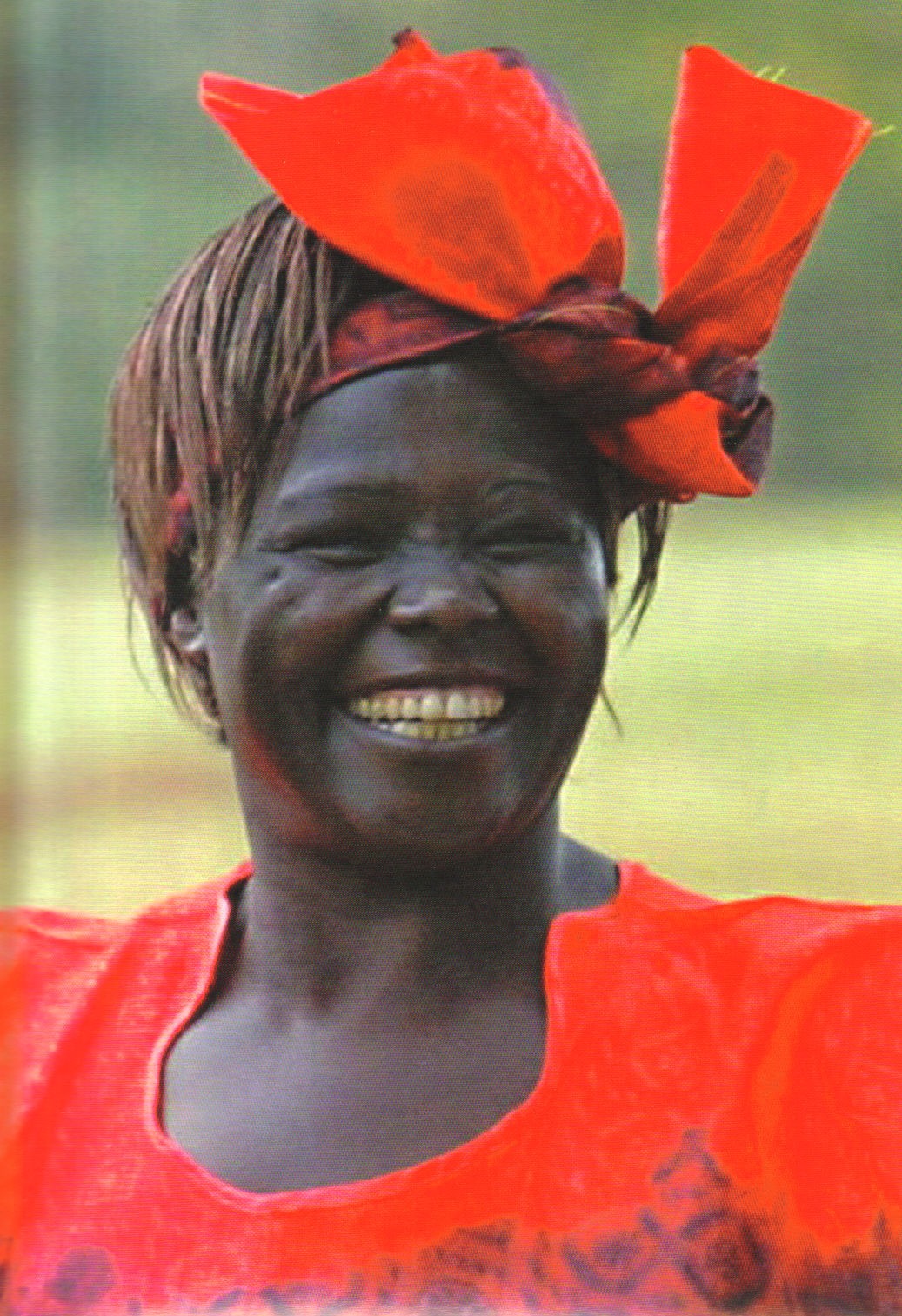 Wangari Maathai - Foreign Policy Blogs